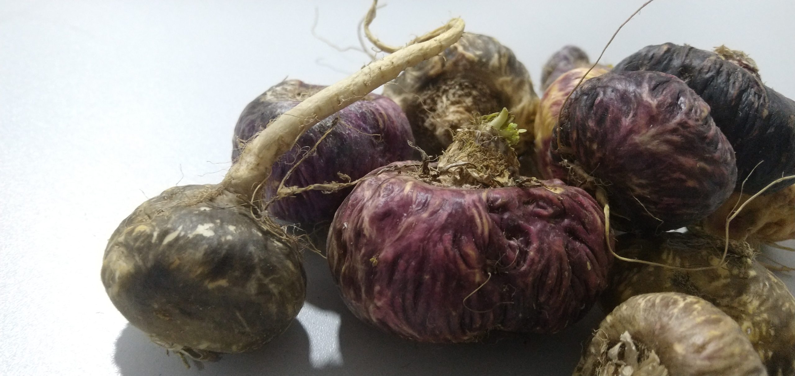 Maca Nutrition Facts - Peru Superfoods Company - Intimaca